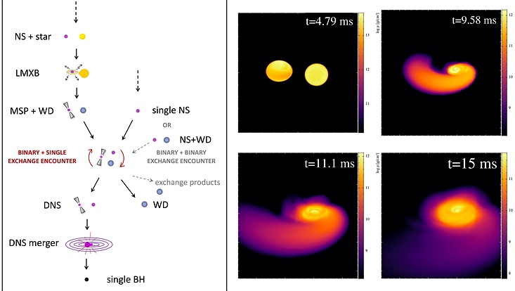 A New Spin on Neutron Star Mergers : Quantum Universe : University of ...